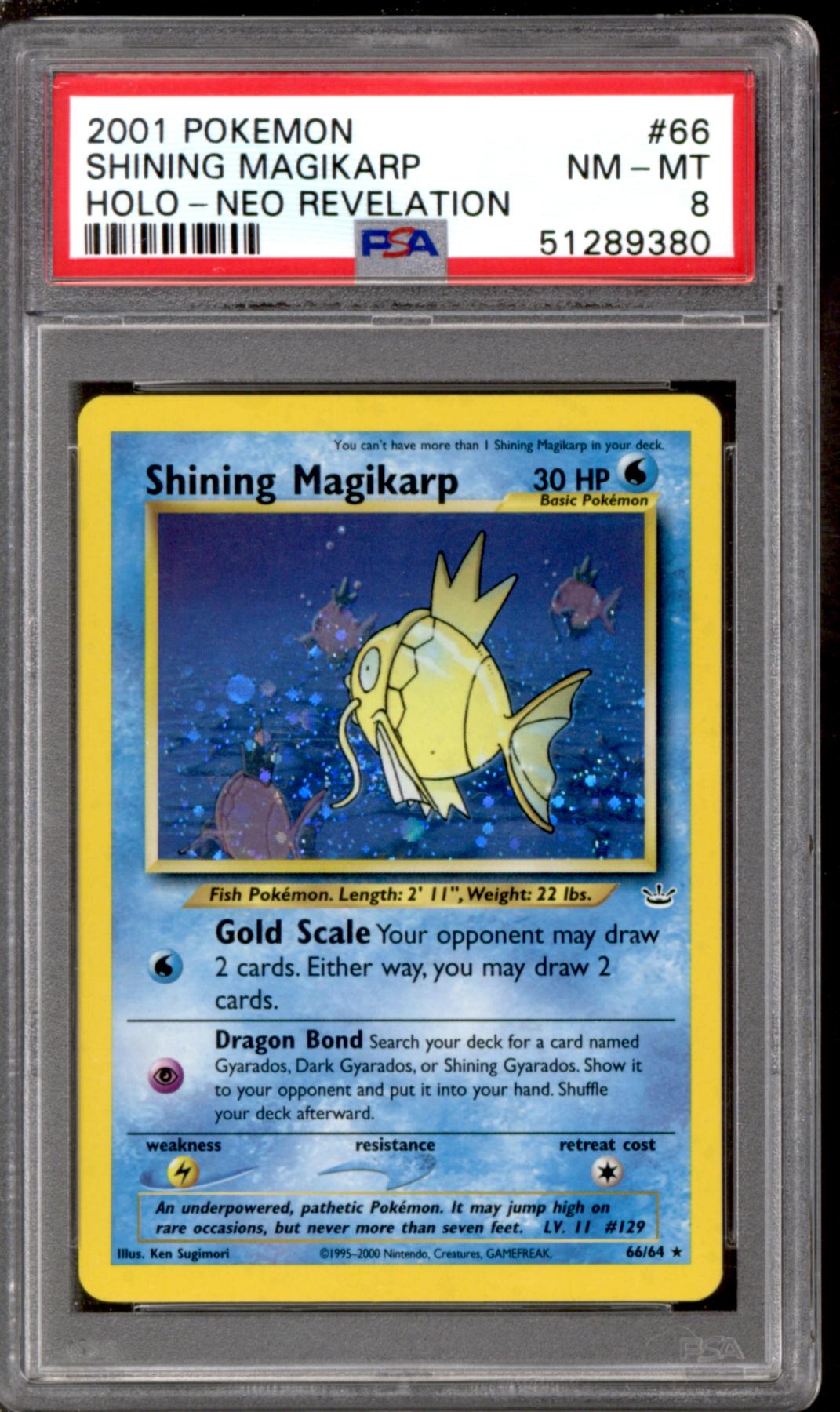 Pokemon Neo Revelation Shining Magikarp 66/64 PSA 8 *380 | DA Card World