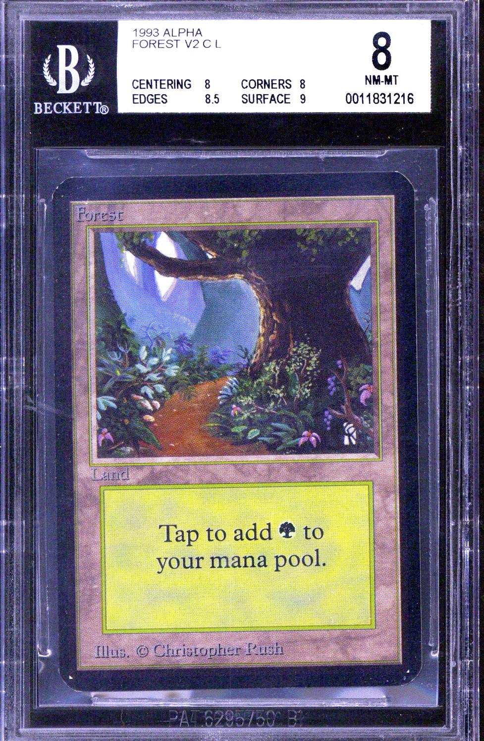 Magic the Gathering Alpha Forest BGS 8 (8, 8, 8.5, 9) | DA Card World