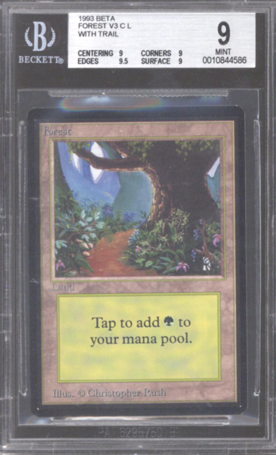 Magic the Gathering Beta Forest BGS 9 (9, 9, 9.5, 9) | DA Card World