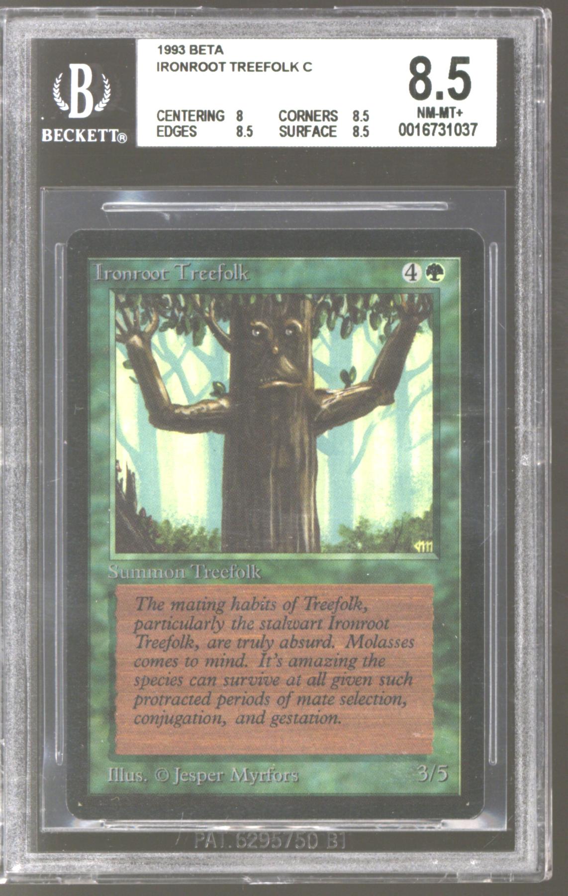 Magic the Gathering Beta Ironroot Treefolk BGS 8.5 (8, 8.5, 8.5, 8.5 ...