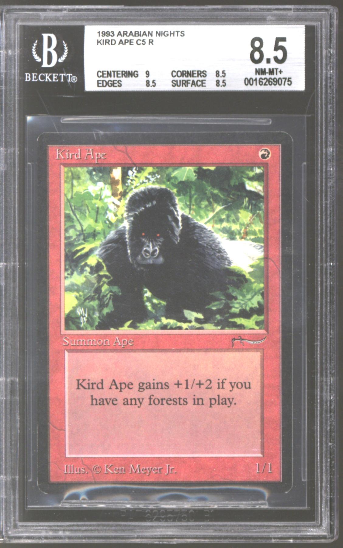 Magic the Gathering Arabian Nights Kird Ape BGS 8.5 (9, 8.5, 8, 9) NEAR ...