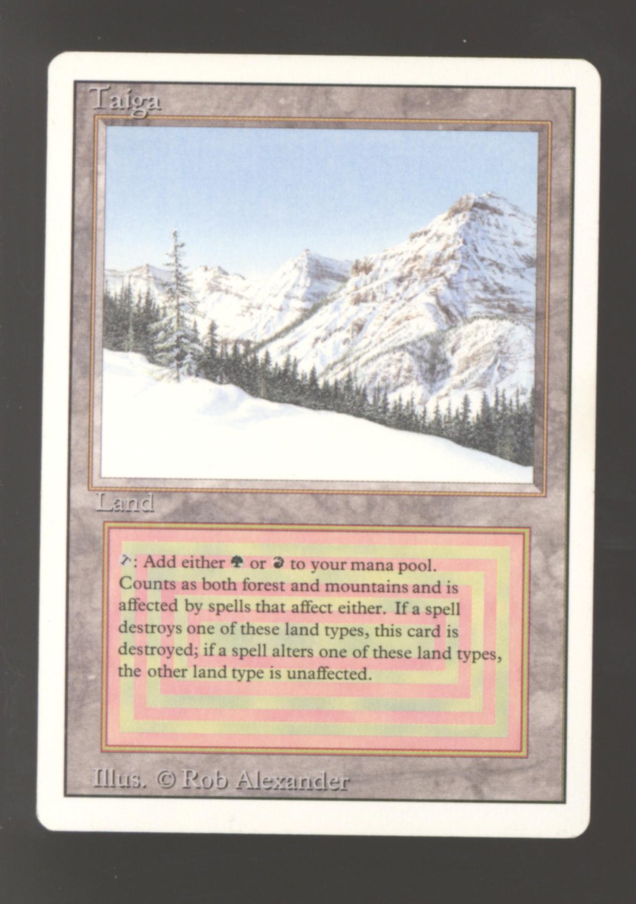 Magic the Gathering 3rd Edition Revised Taiga NEAR MINT NM *503 | DA ...